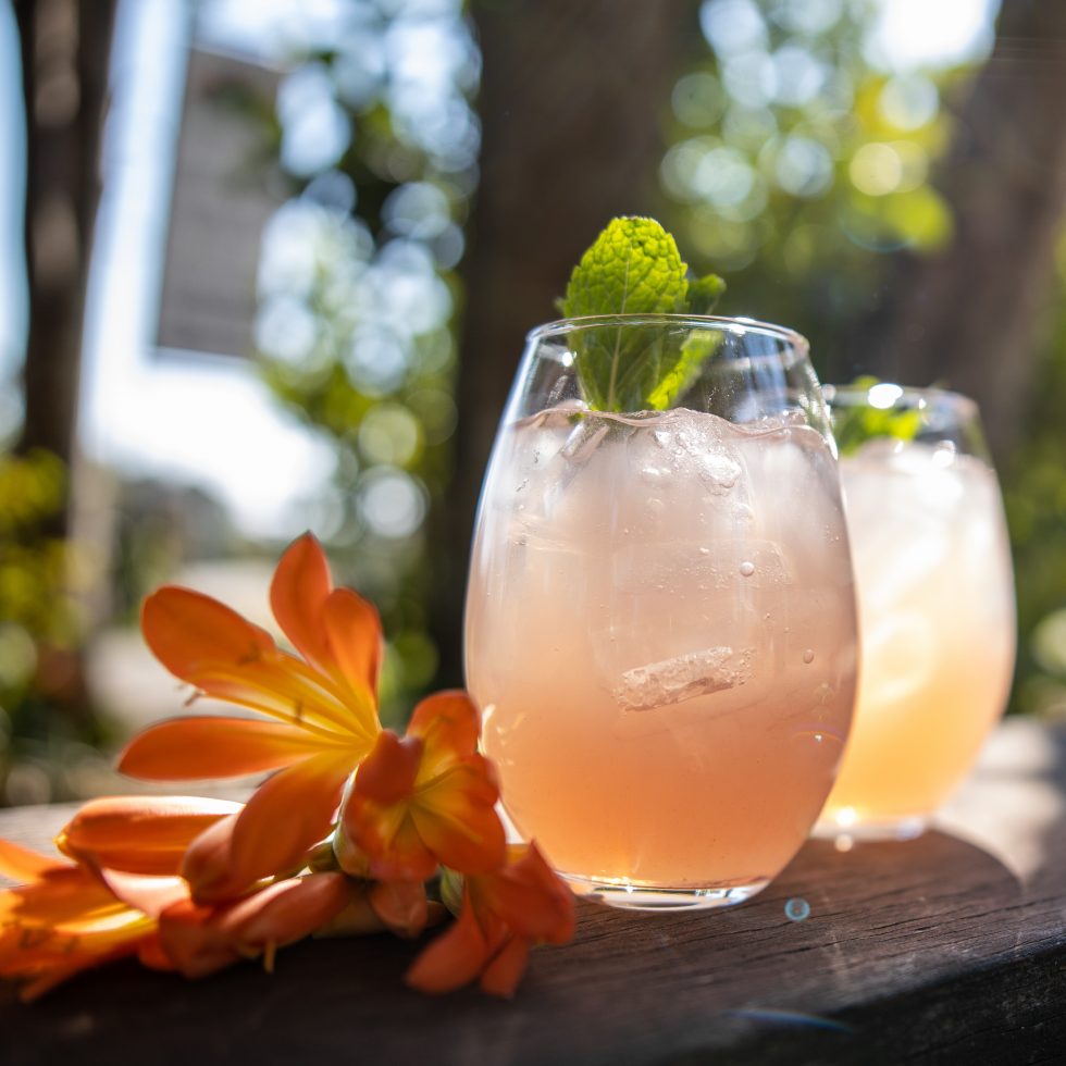 Christmas Cane Lemonade – Tamborine Mountain Distillery