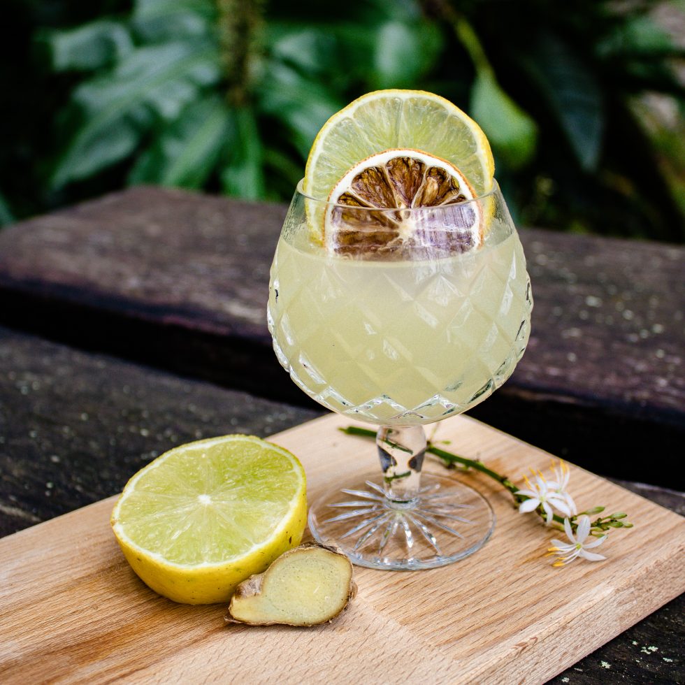 Lemon Drop – Tamborine Mountain Distillery