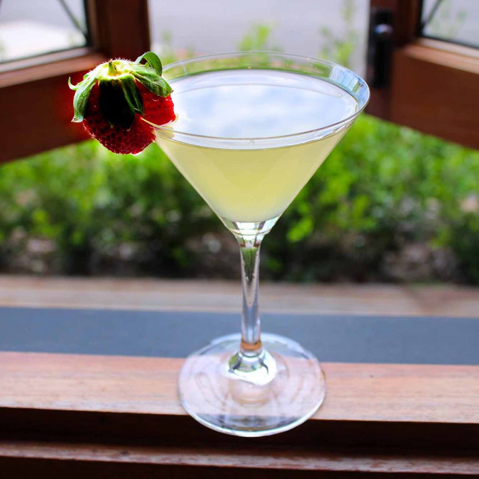 Queensland Heat Wave – Tamborine Mountain Distillery